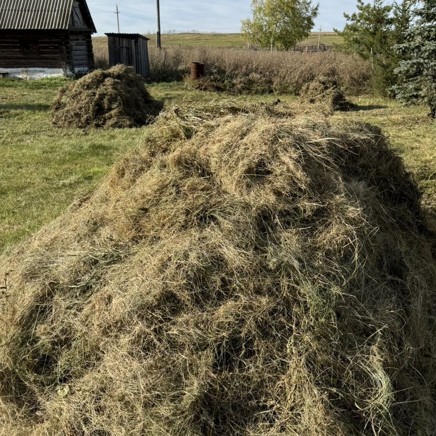 Сено в мешках или навалом