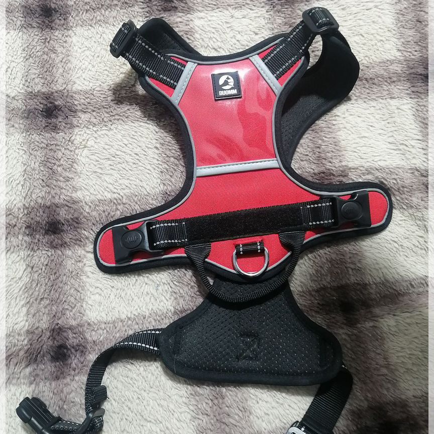 Шлейка для собаки