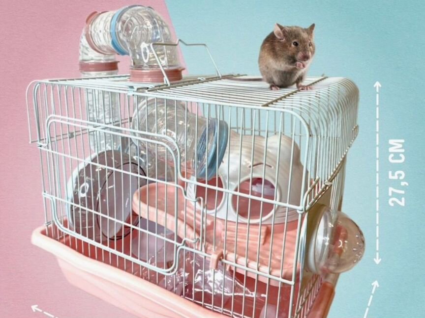 Клетка с тоннелем трубой для грызунов