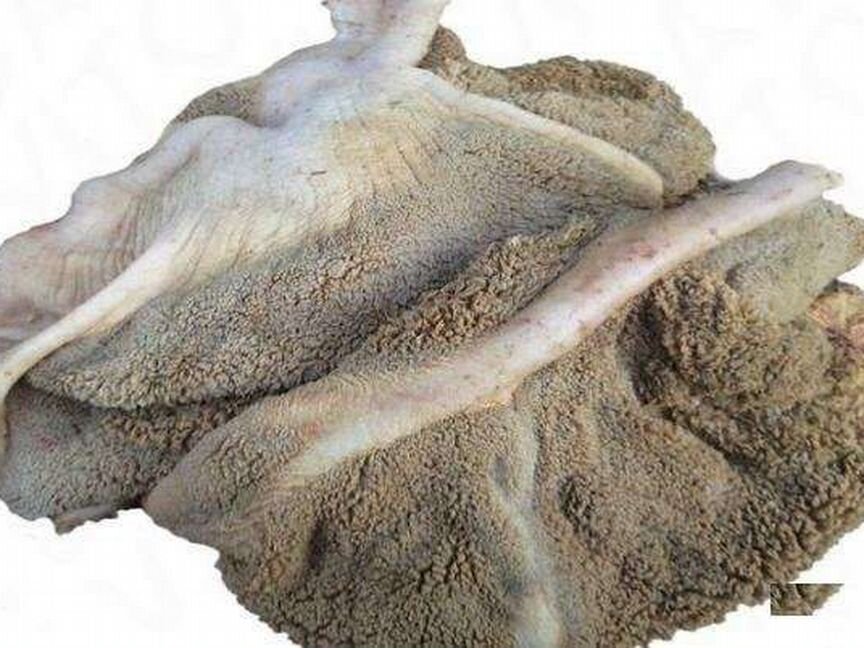 Рубец говяжий