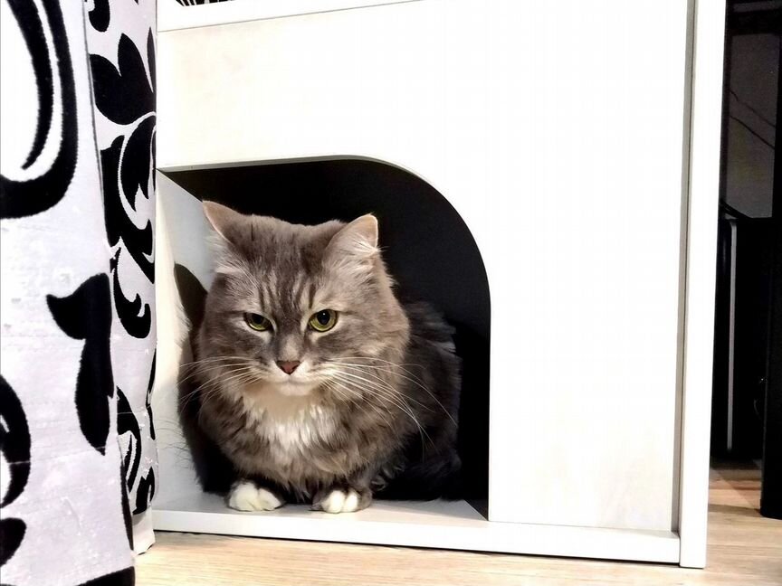 Домик для кошки