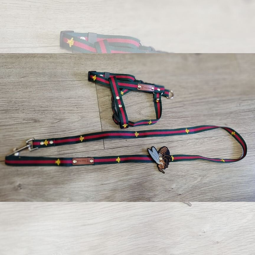 Шлейка для собак и кошек с поводком