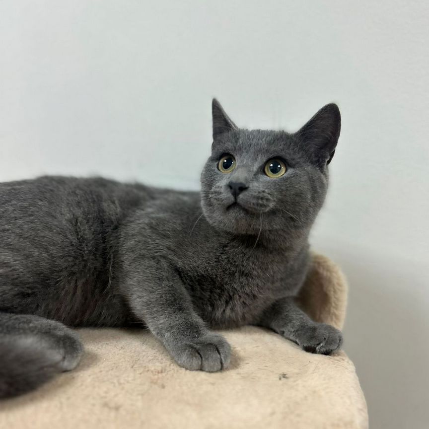 Малышу Нафане нужна семья