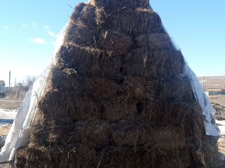 Сено в тюках
