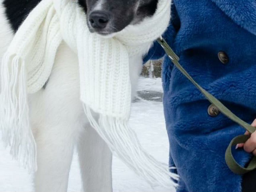 Малыш, 10 месяцев