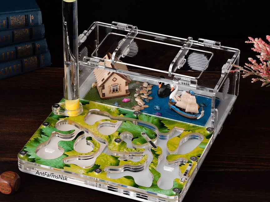 Муравьиная ферма (Формикарий) Стандарт