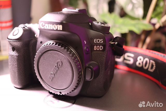 Зеркальный фотоаппарат canon 80d купить в Санкт-Петербурге ...