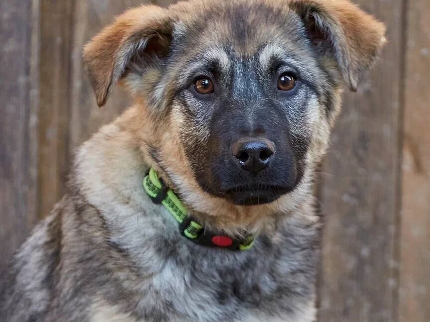 Кай - серьезный мальчик