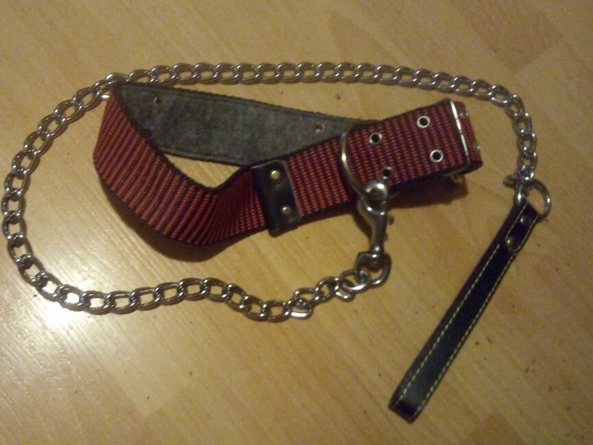 Ошейник и поводок на волкодава