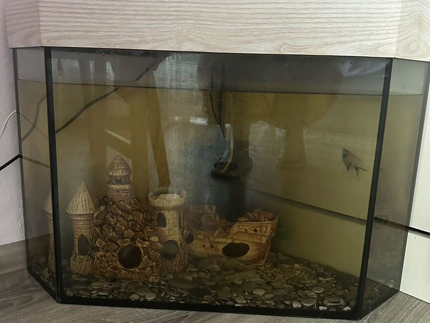 Аквариум с рыбками