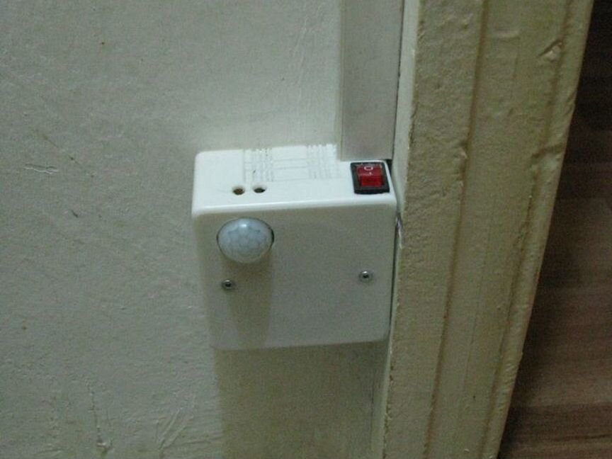 Автоматический кошачий туалет