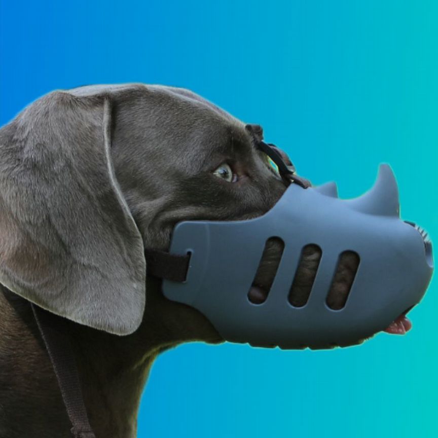 Намордник для собак силиконовый