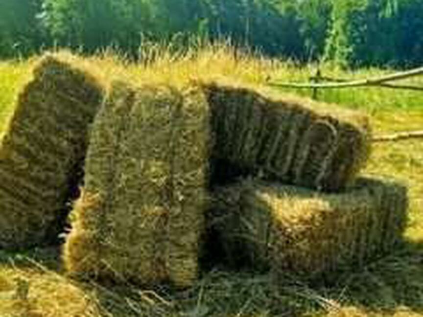 Сено и солома в тюках 2023