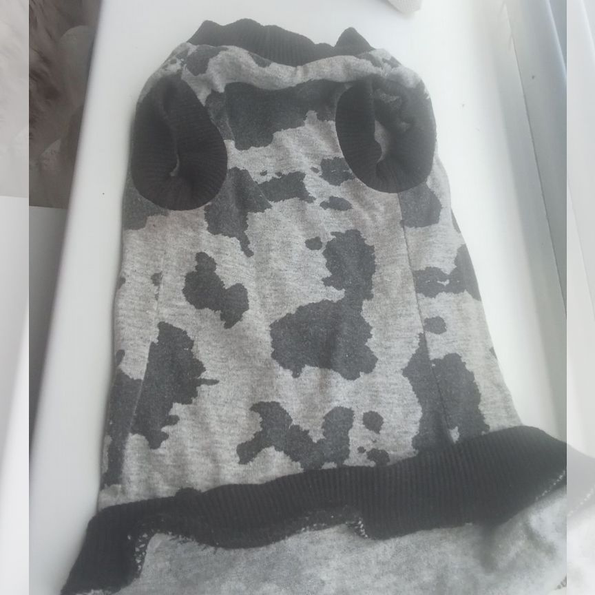 Одежда для кошек сфинкс