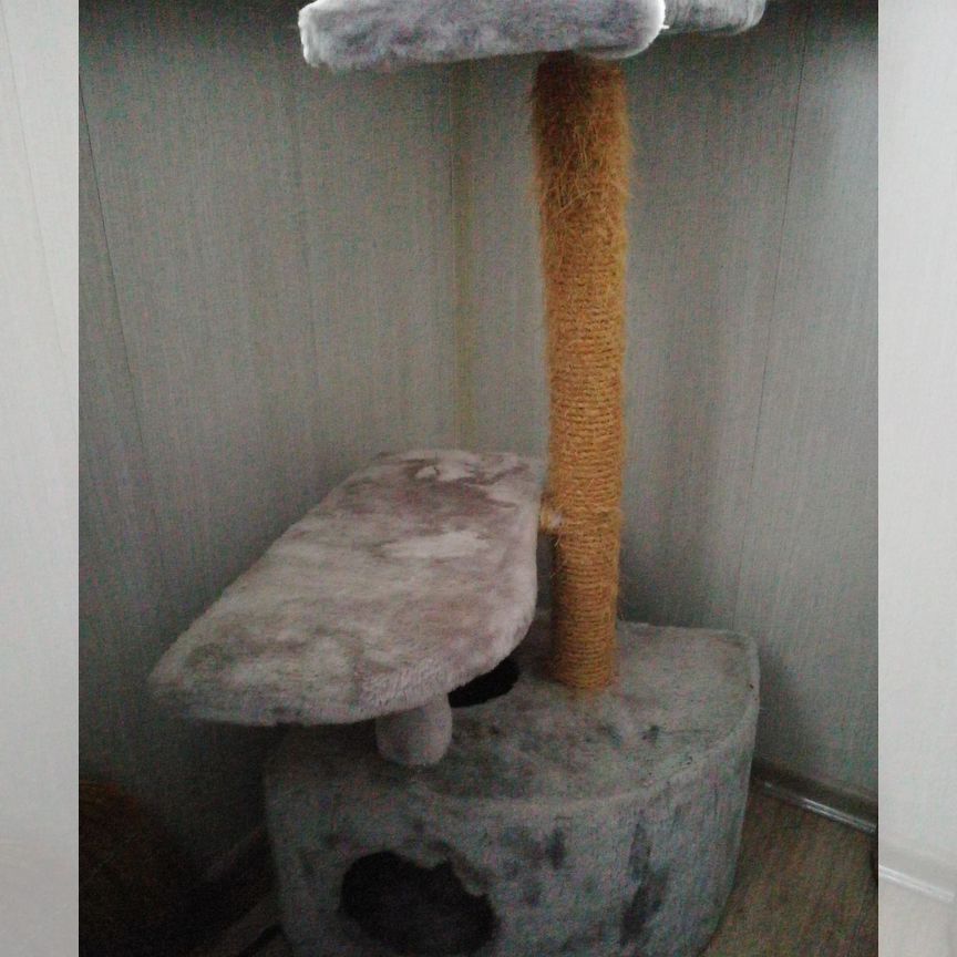 Кошкин домик