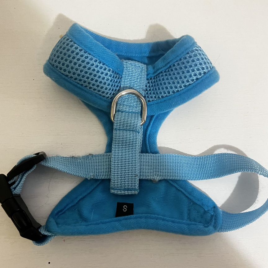 Шлейка для маленькой собаки