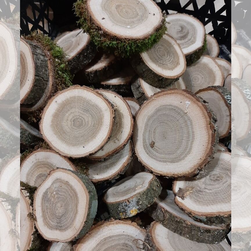 Корм для шиншилл грызунов