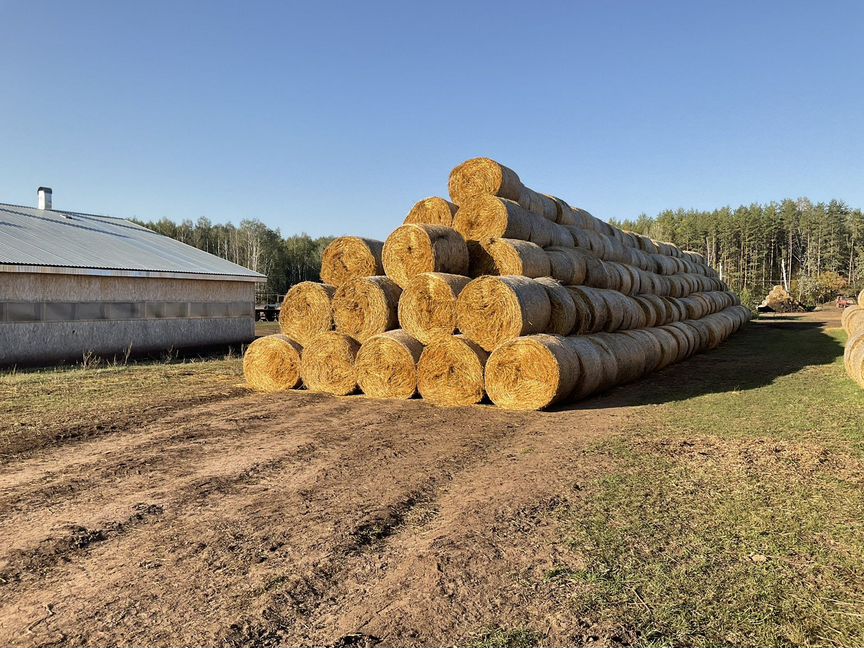 Корма для сельхоз животных
