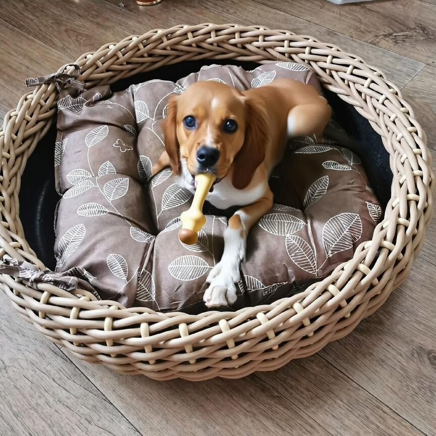 Лежанка для животных из ротанга