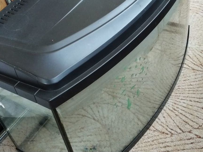 Аквариумные рыбки