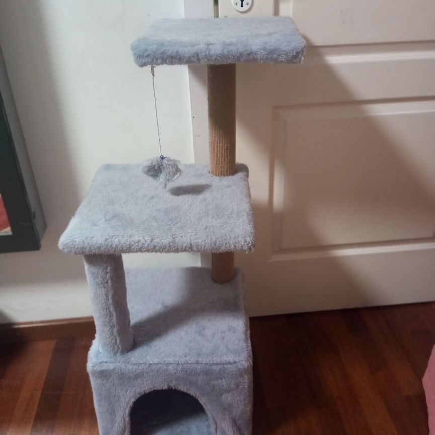 Домик-когтеточка, лежанка, влажный корм для котят