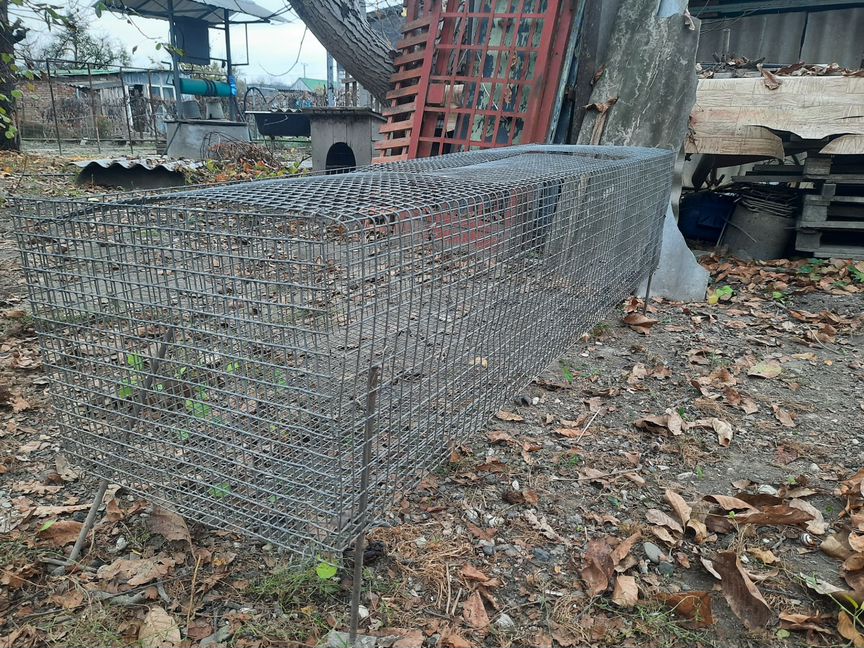 Клетка для цыплят