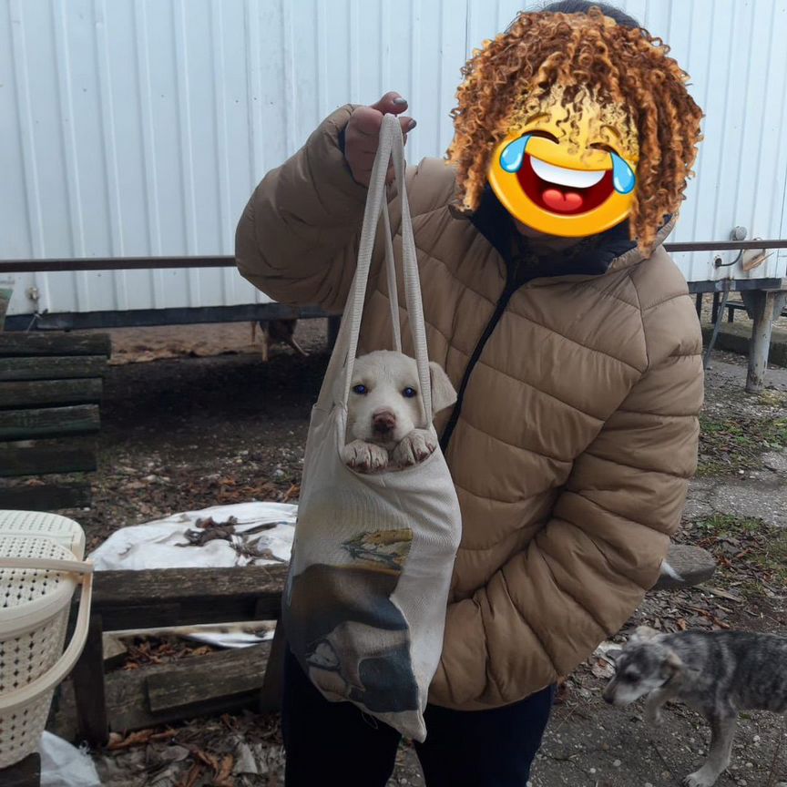 Малышка ищет дом