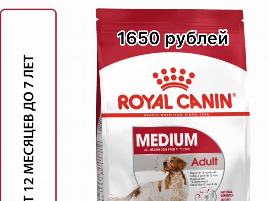 Корм для собак и кошек