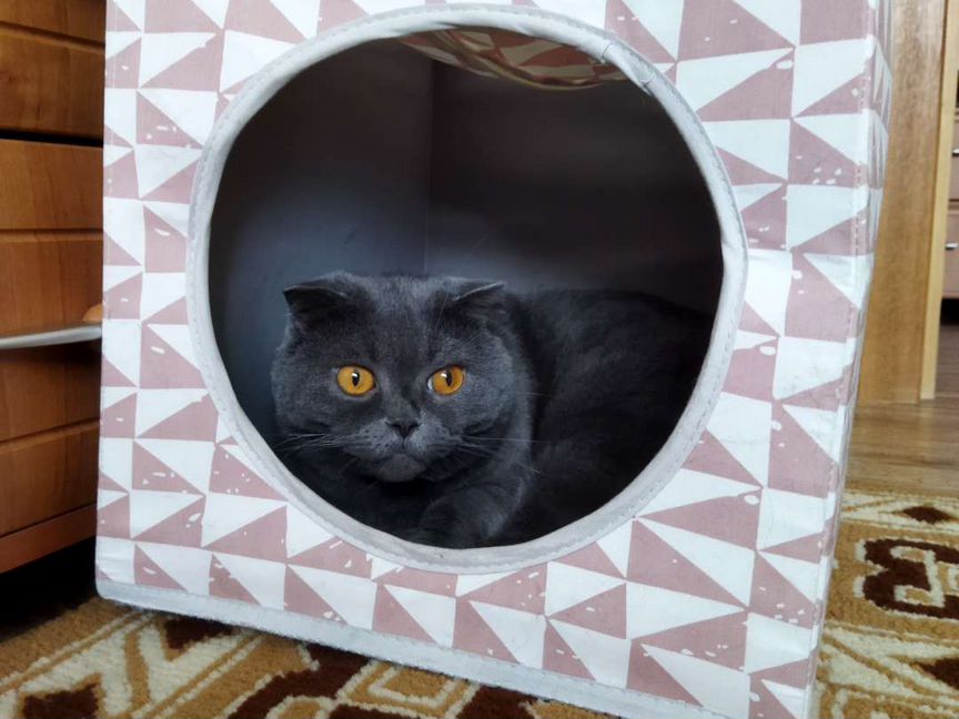 Домик для кошки или собаки