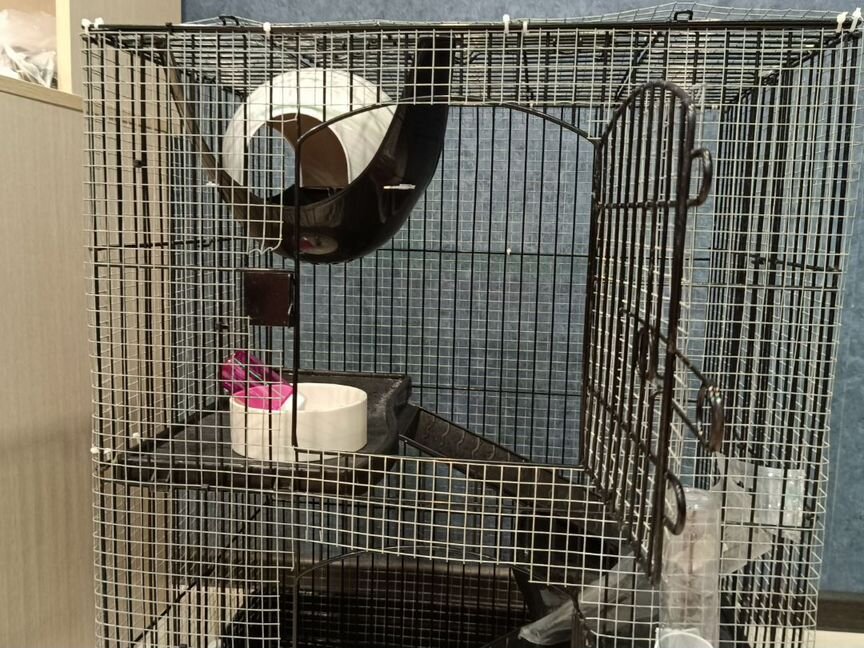 Клетка для грызунов