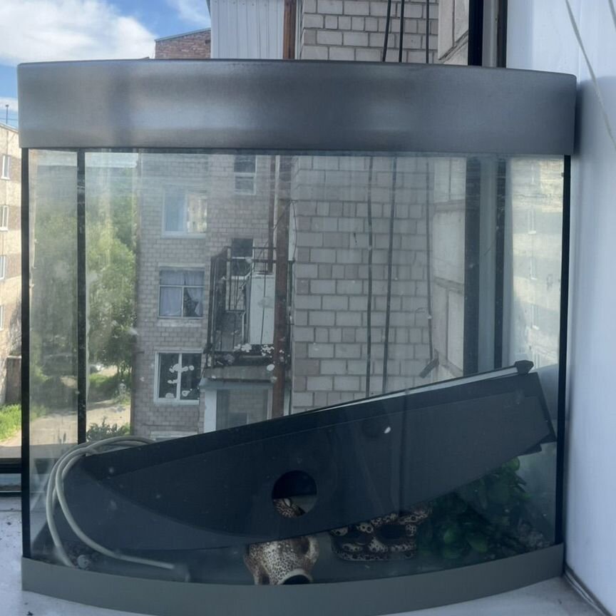 Аквариум