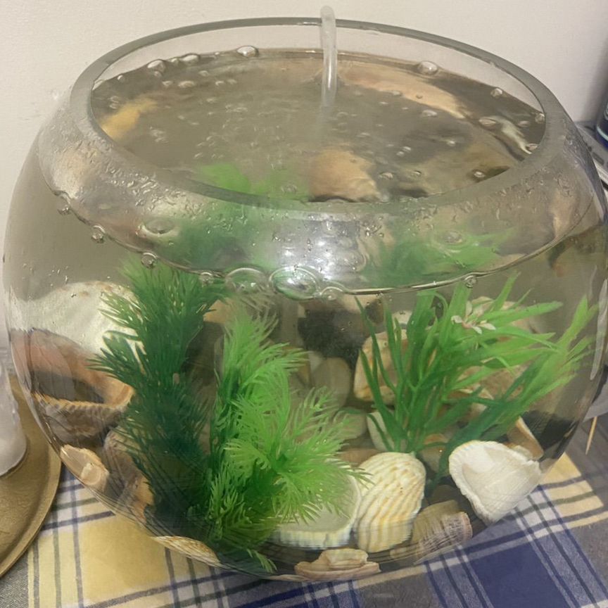 Аквариум с аэратором и рыбкой