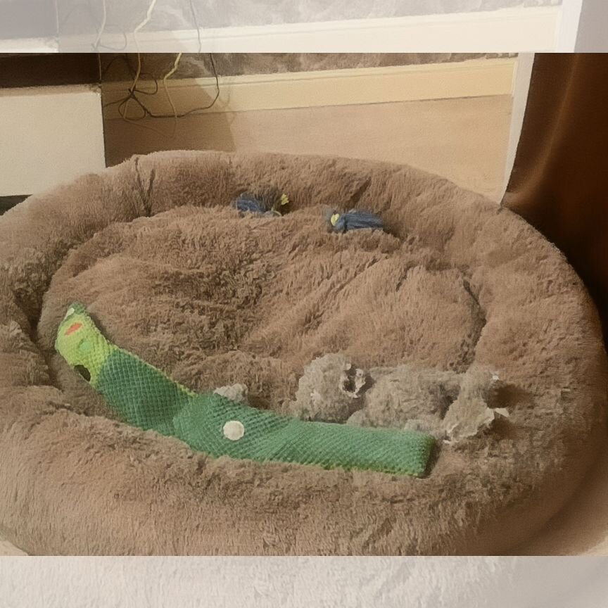 Лежанка для большой собаки