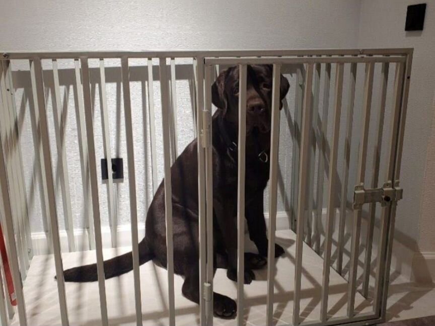 Усиленная клетка для собак