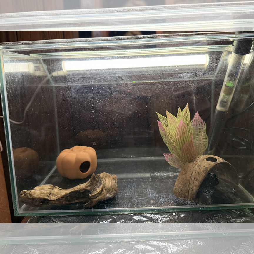 Аквариум, террариум, черепашник