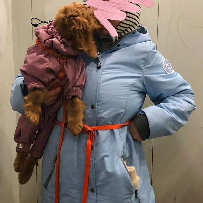 Зимний комбенизон Rain Dog