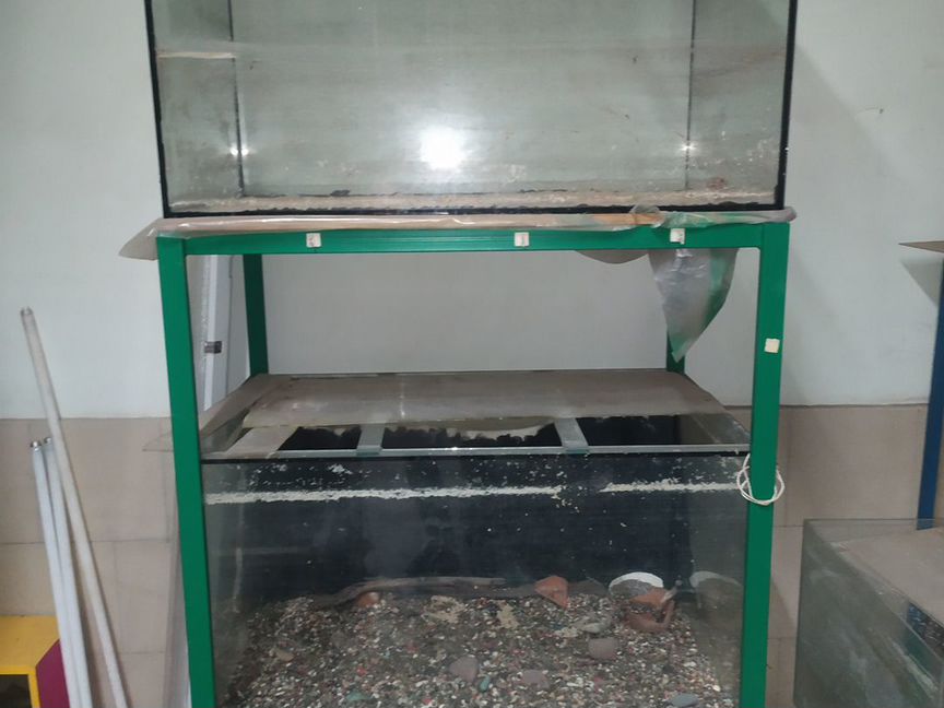 Стойка с аквариумами