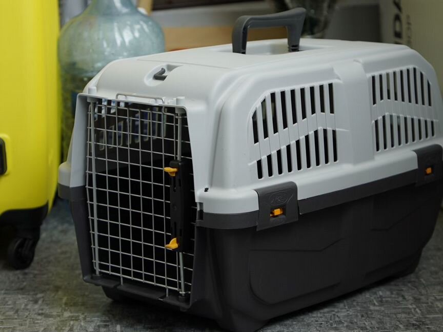 Переноска, миска-автопоилка, лоток, лежанка, корм