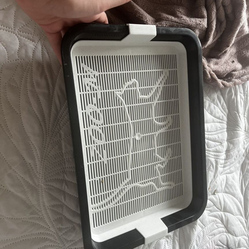 Маленький лоток