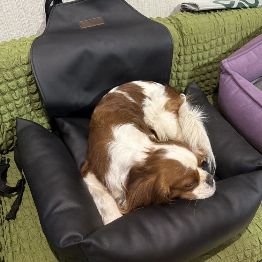 Автокресло для собак Pet Bed экокожа