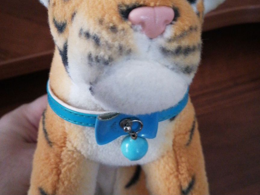 Кошачий ошейник