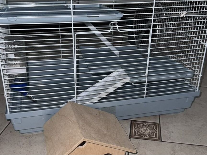 Клетка для грызунов бу