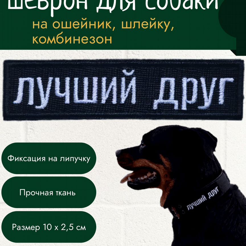Шеврон для собаки Лучший Друг