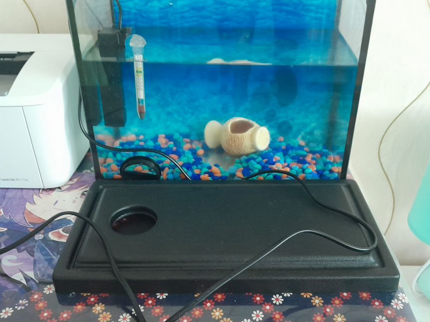 Аквариум в полном сборе