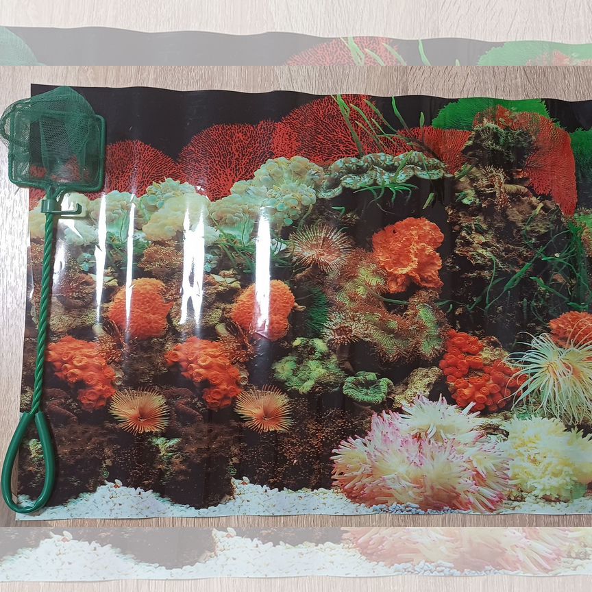 Садок и картинка для аквариума