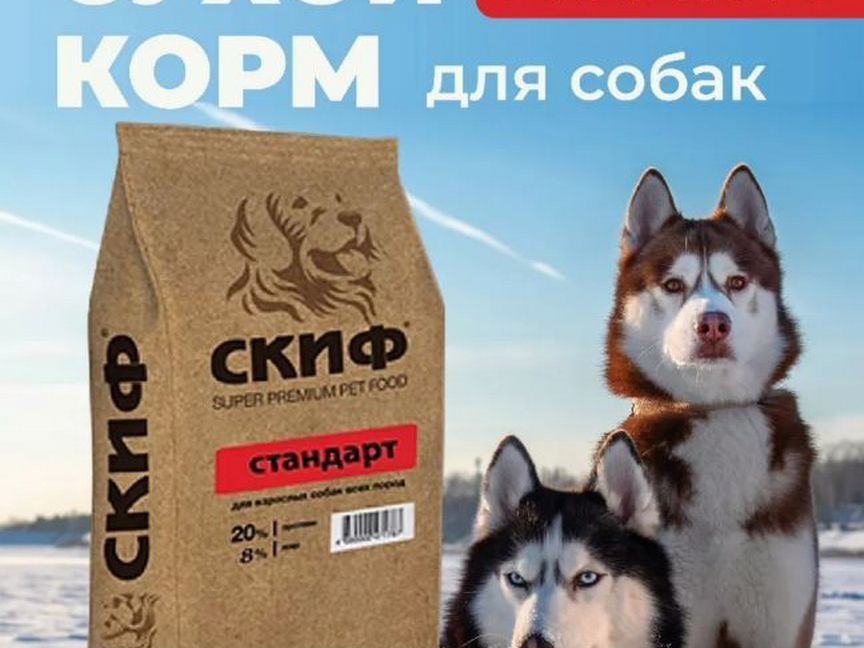 Сухой корм для собак