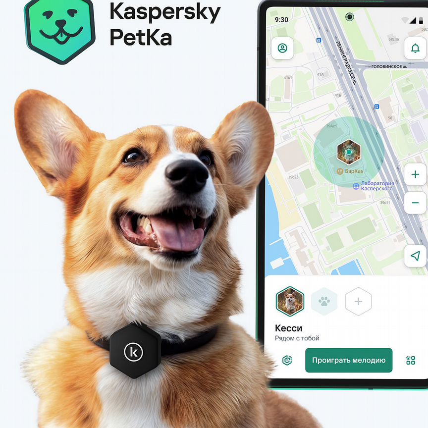 Трекер для собак и кошек Kaspersky Petka Tag