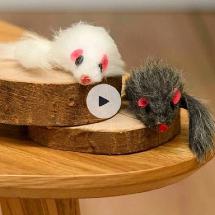 Игрушки для кошек