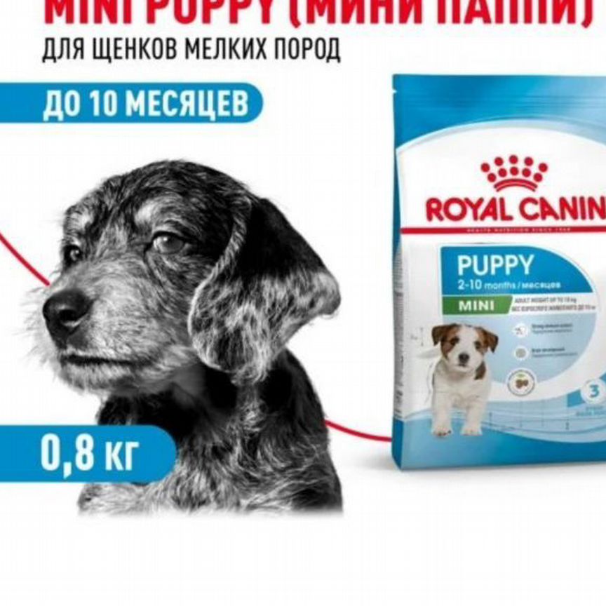 Сухой корм для собак мелких пород