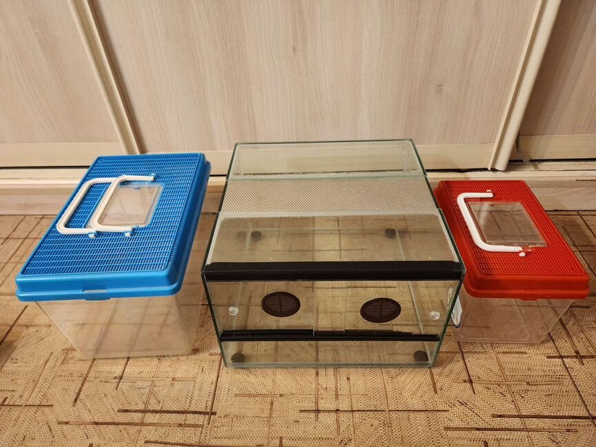 Террариумы